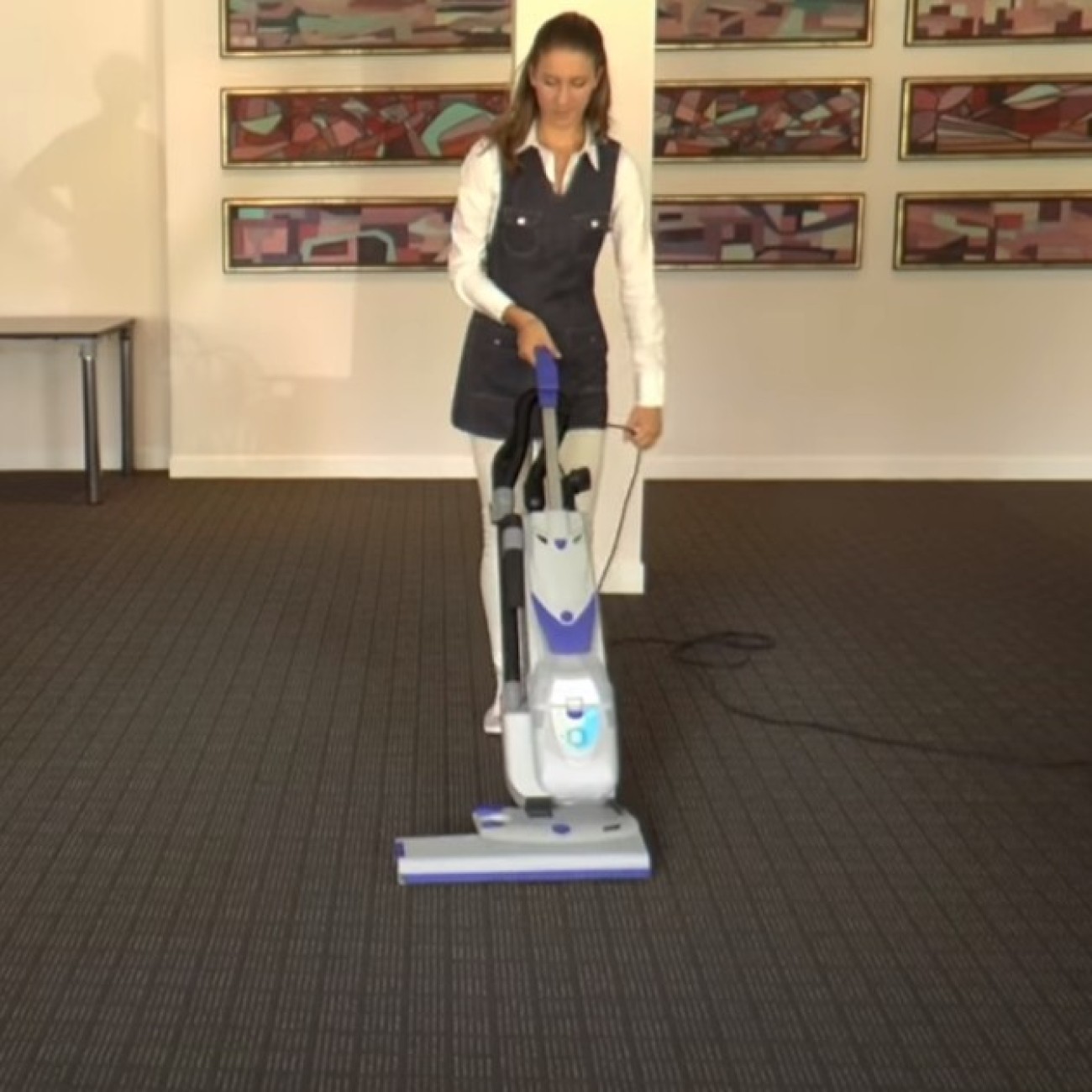 Aspirator profesional vertical Lindhaus RX eco Force 380 e